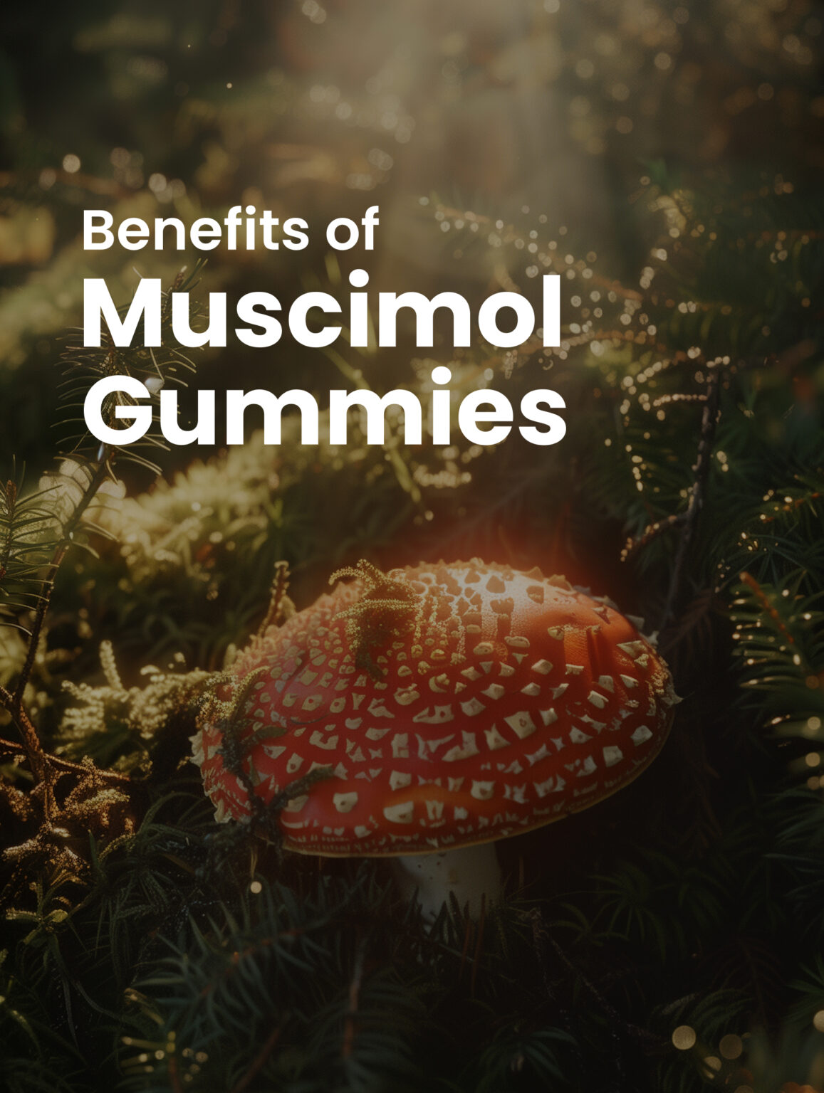 Guide to Understanding the Benefits of Muscimol Gummies