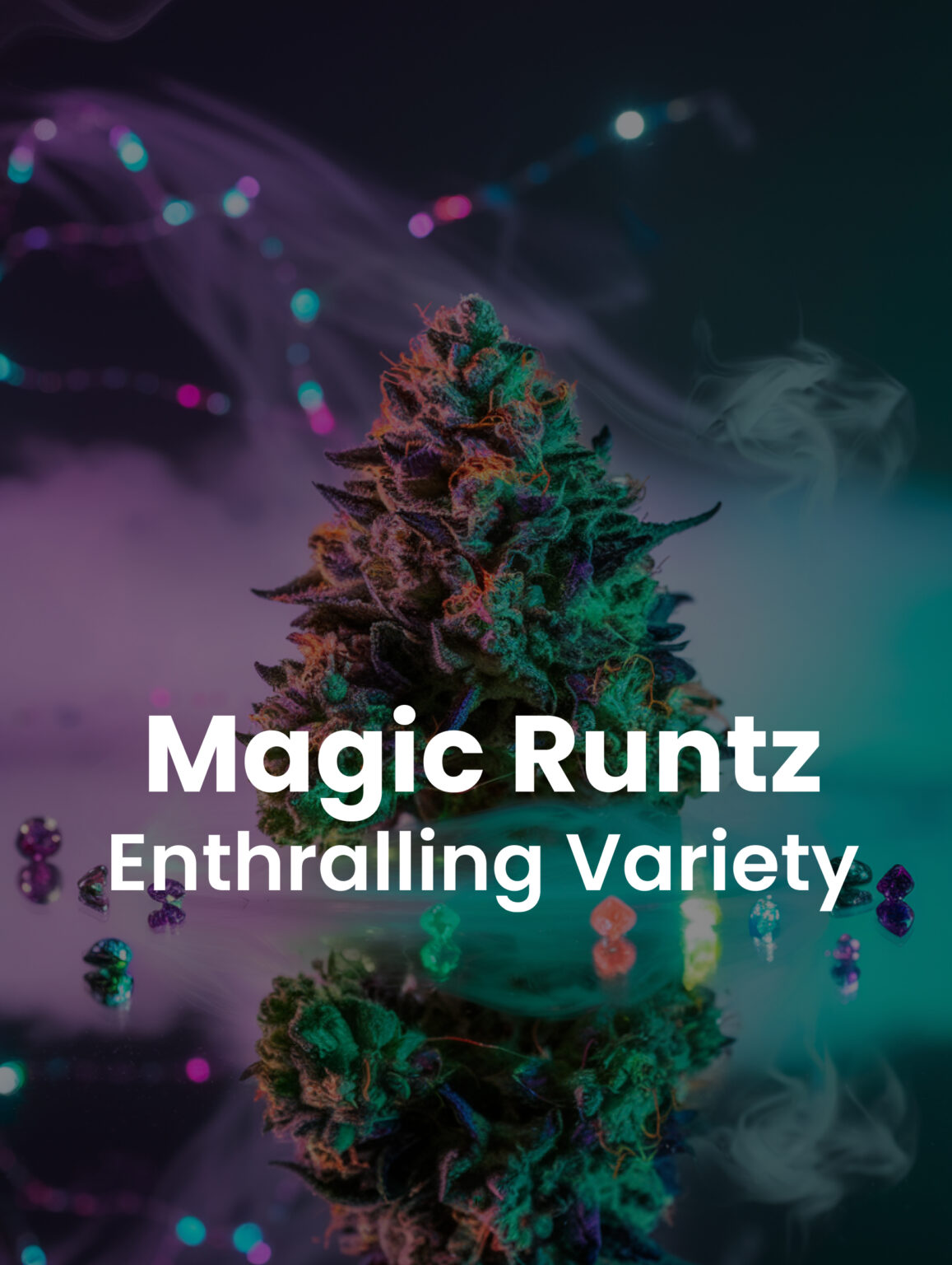 Magic Runtz: The Enthralling Cannabis Variety